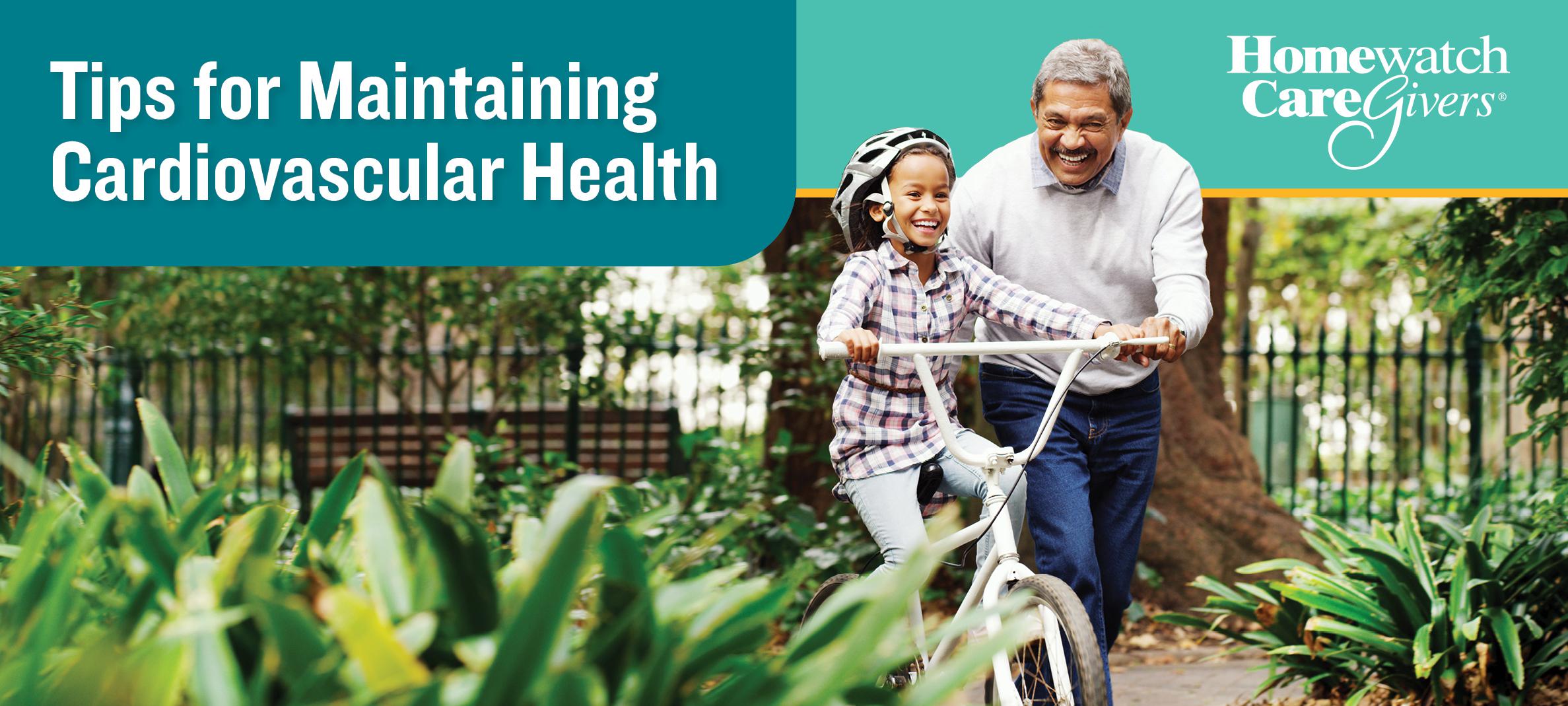 Tips for Maintaining Cardiovascular Health